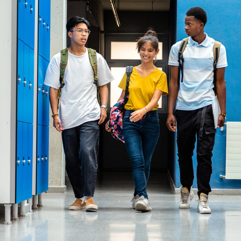 Industry Security Solutions - Integrated Security, Inc.